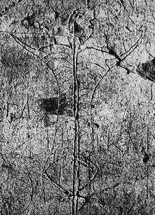 Jesus and Christianity: Not Copies of Pagan Myths